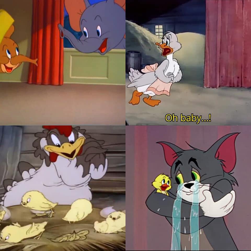 Tom & Jerry: Những bài học cuộc sống đằng sau cuộc chiến giữa mèo và chuột