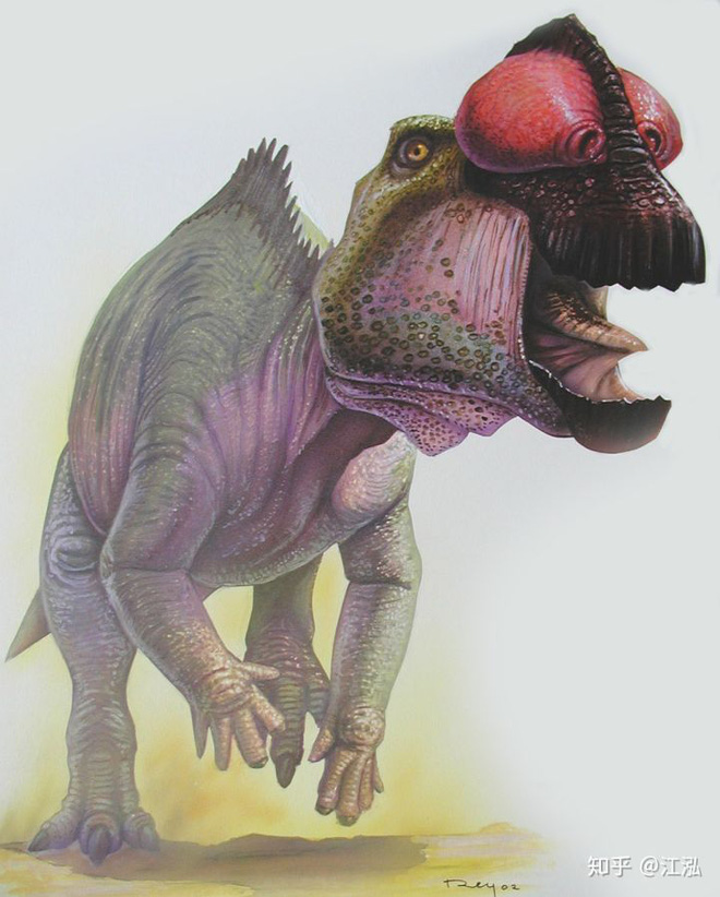 Úc phát hiện ra hóa thạch khủng long biến thành đá quý | OtakuGO