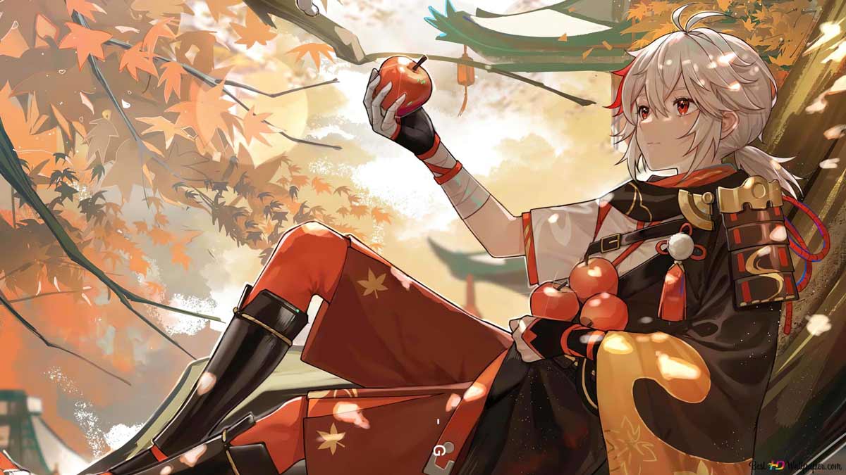 Genshin Impact lộ đội hình La Hoàn Thâm Cảnh phổ biến nhất, game thủ ...