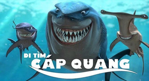 Cá mập có thực sự cắn cáp quang biển?