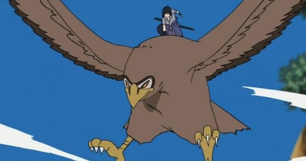 Naruto: Đại bàng của Sasuke và 7 linh thú triệu hồi mạnh mẽ bị "lãng ...