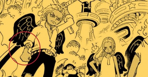 One Piece: S-Hawk - 'bản sao' của Mihawk có sở hữu năng lực trái ác quỷ ...