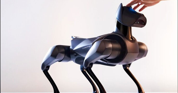 Xuất hiện chó robot làm trợ lý ảo, giá "không tưởng"