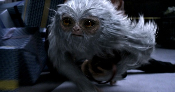 Những điều bạn nên biết trong phim về thế giới phù thủy Harry Potter ...