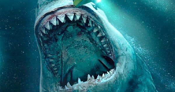 Cùng tìm hiểu về Megalodon, kẻ săn mồi khổng lồ trong "The Meg"