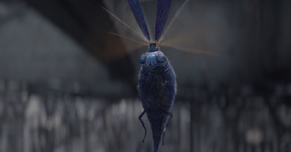 Tìm hiểu về Billywig: Khi phù thủy "phê pha" bằng... ong đốt