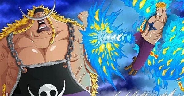 One Piece: Điểm yếu của Weevil được tiết lộ, Marco có thể tận dụng nó ...