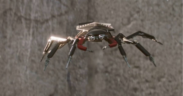 Cùng tìm hiểu về Spider-Tracers: Những “chú nhện con” đáng yêu của ...